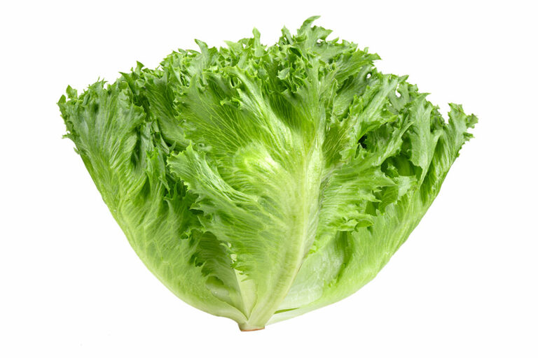 Olika sorters sallad: Så väljer du rätt - Tidningen Hälsa