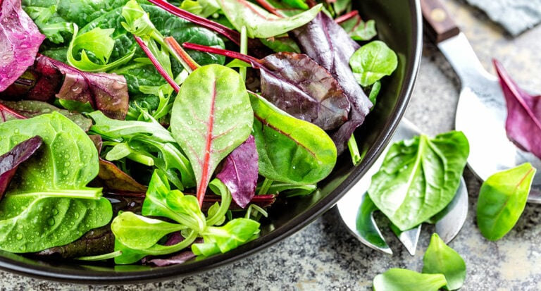 Olika sorters sallad: Så väljer du rätt - Tidningen Hälsa